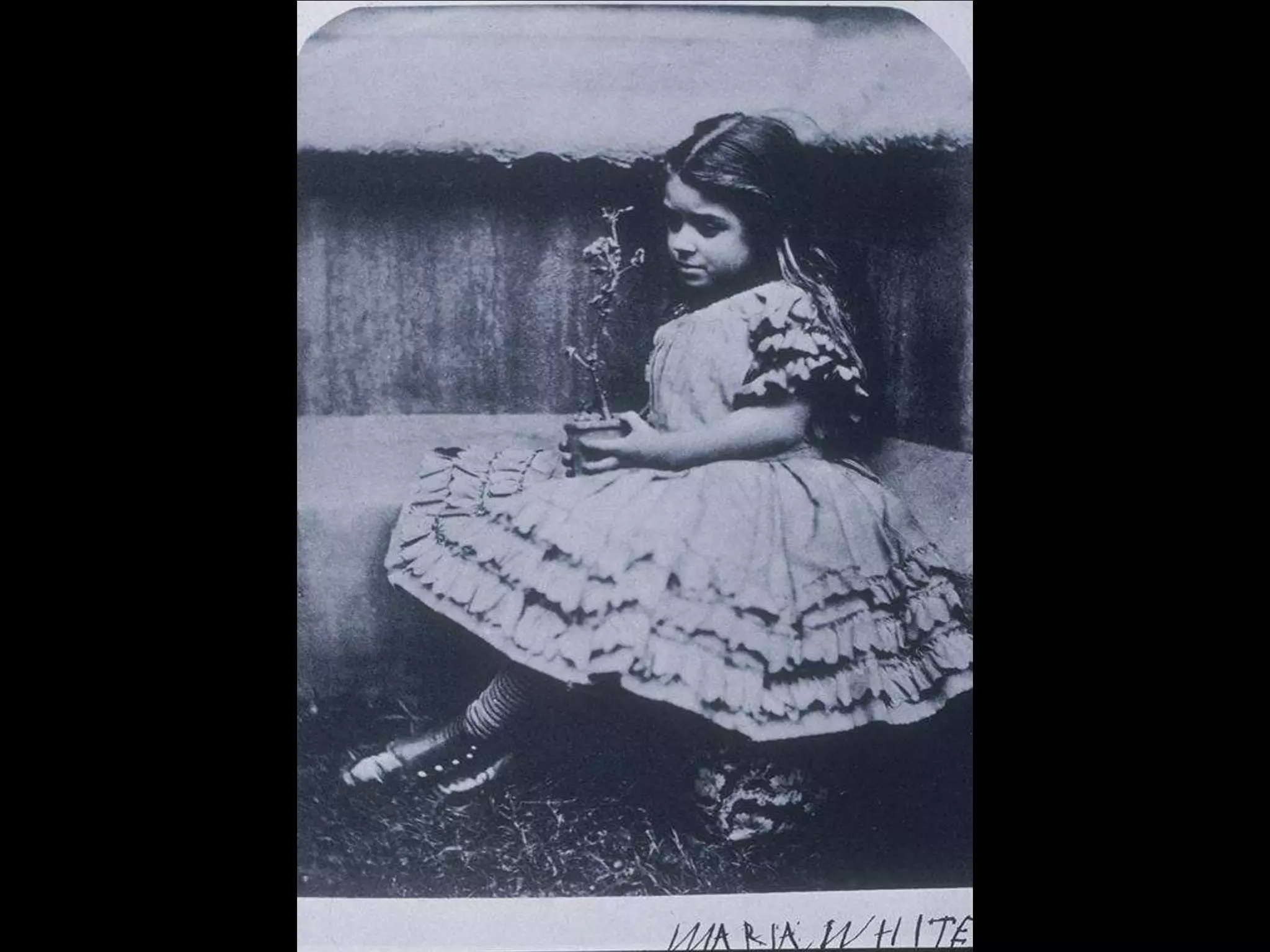 Lewis Carroll's photography | PPTX
