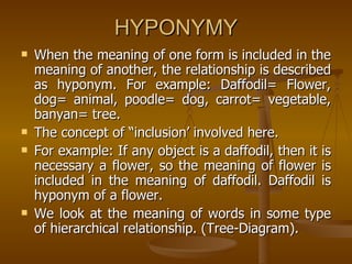 Lexical Relations By Nasir | PPT