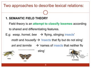 Lexical Relations in Semantic | PPTX