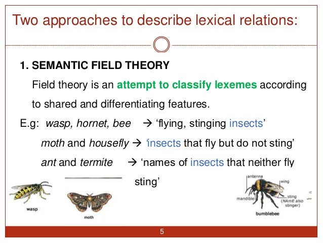 Lexical Relations In Semantic
