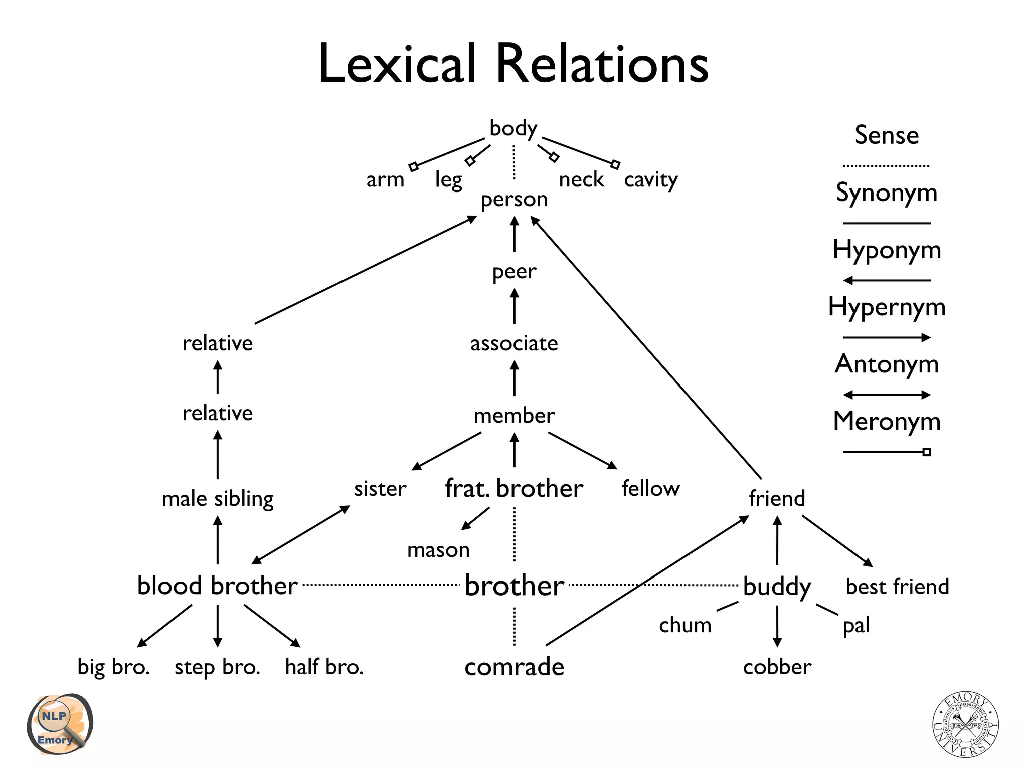 CS329 - Lexical Relations | PPT