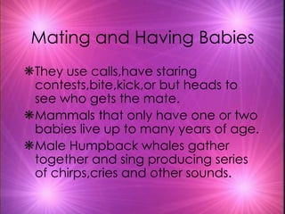 Lexi C Mammals | PPT