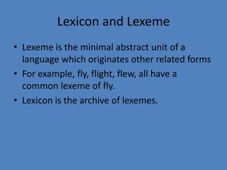umair ijaz's Lexicography presentation | PPTX