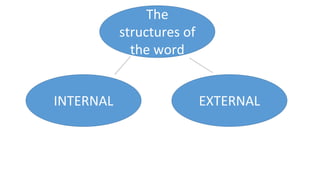 Lexicology 1 lecture.pptx