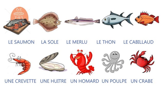 Lexique les aliments | PPTX