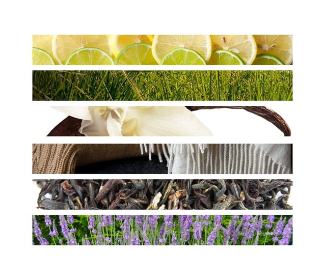 Lexus fragrance Shinshi Look Book | PPT