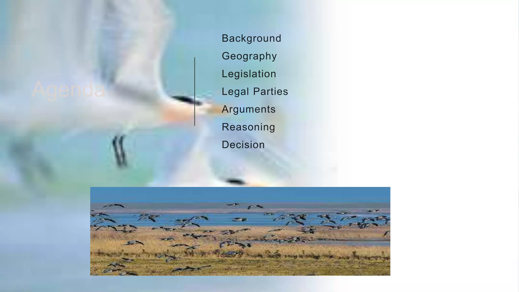 Leybucht-Wild-Birds-Protection-Case.pptx