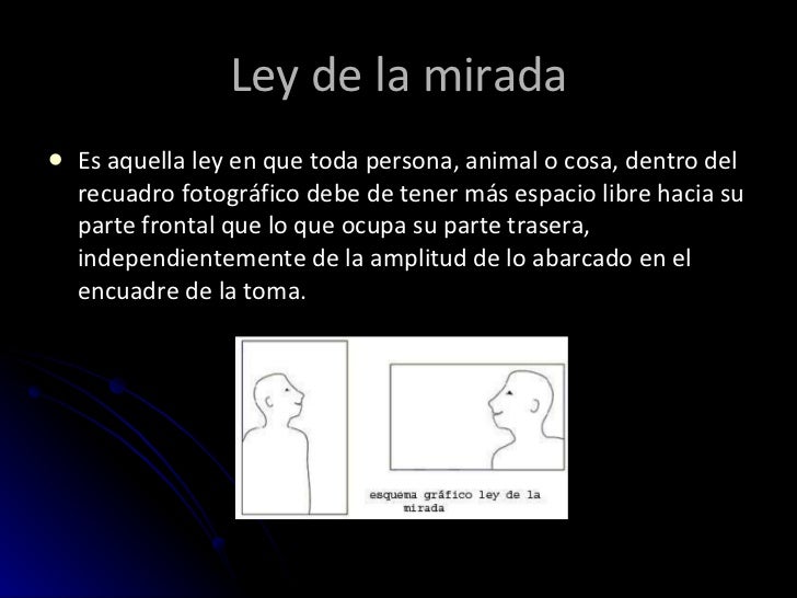 Ley de tercios, ley del horizonte y ley de la mirada