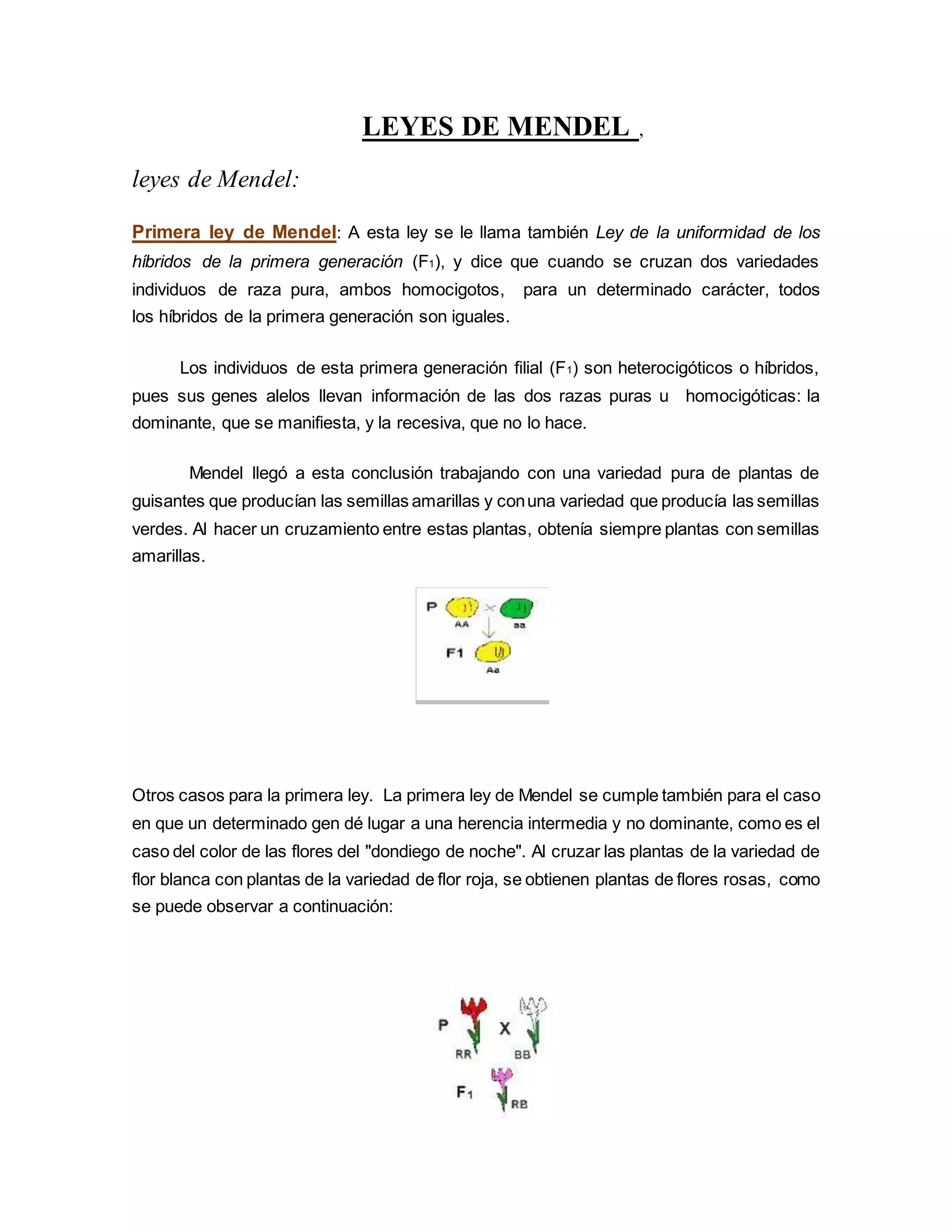 Leyes de-mendel | DOCX