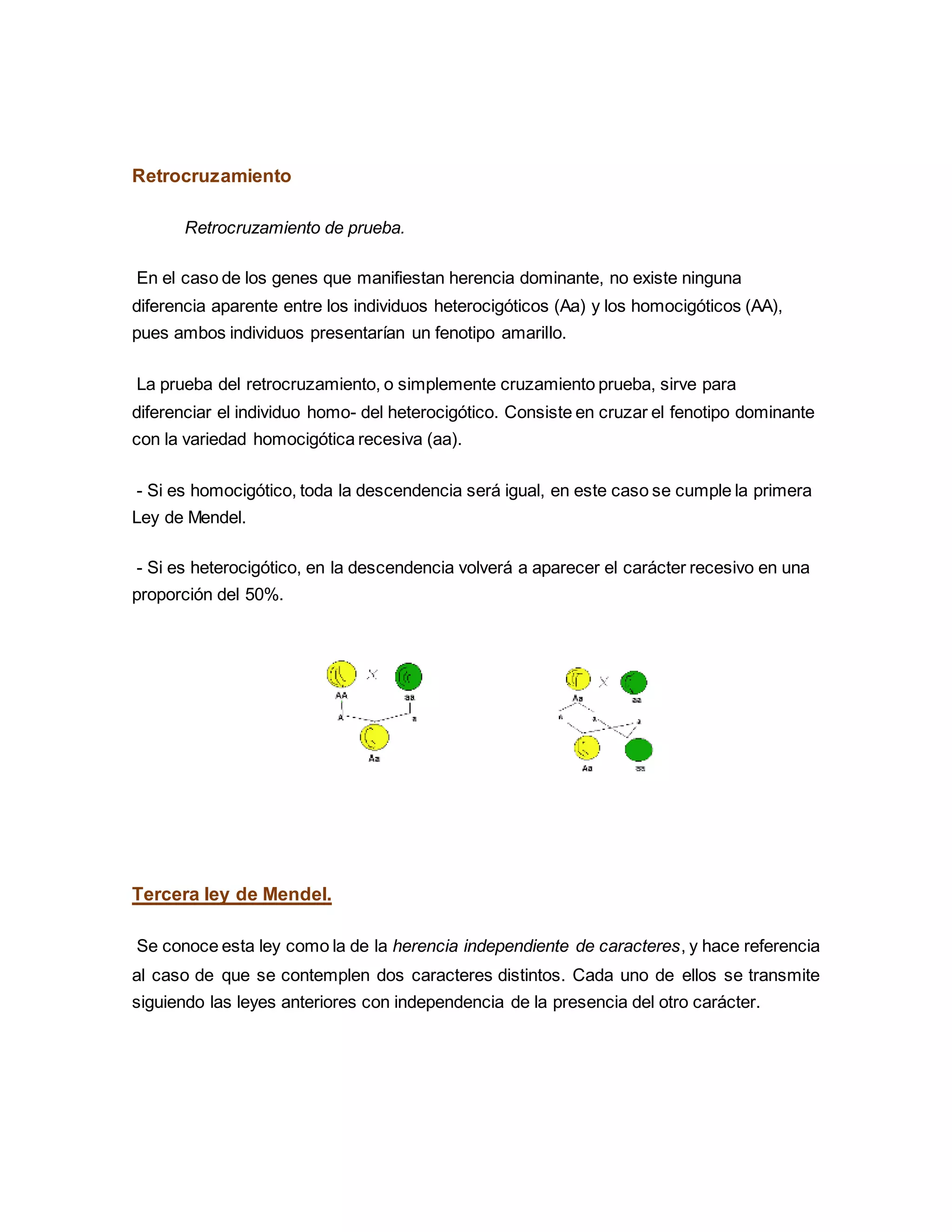 Leyes de-mendel | DOCX
