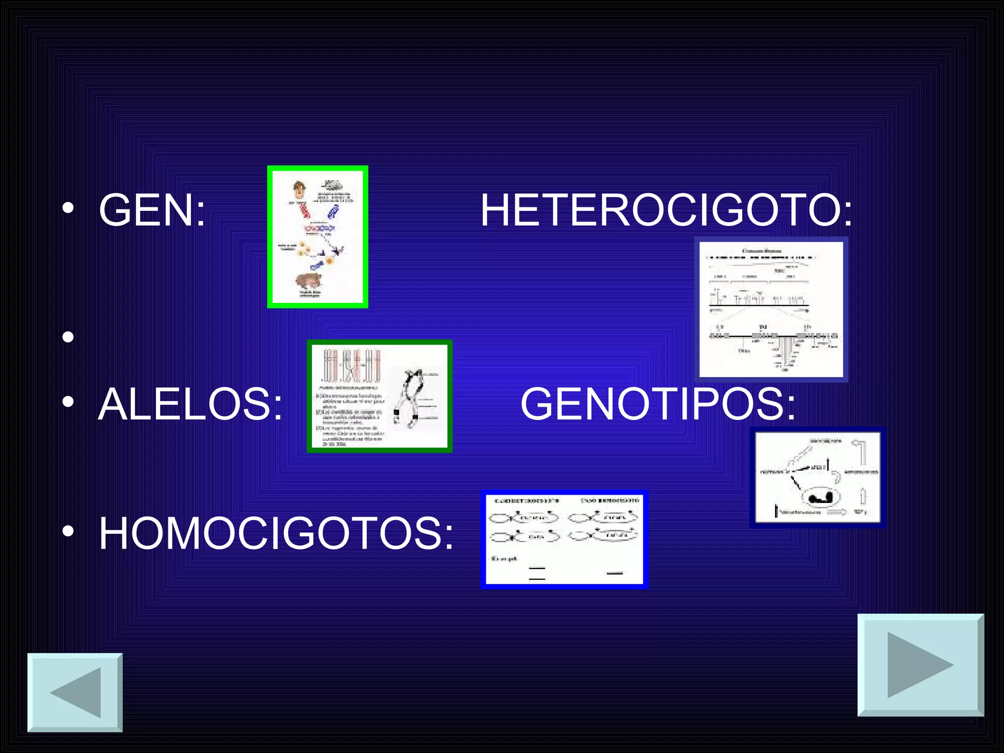 Leyes De Mendel Urdinola | PPT