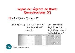 Natura panorama rural reglas de algebra de boole frío La selva amazónica Ecología