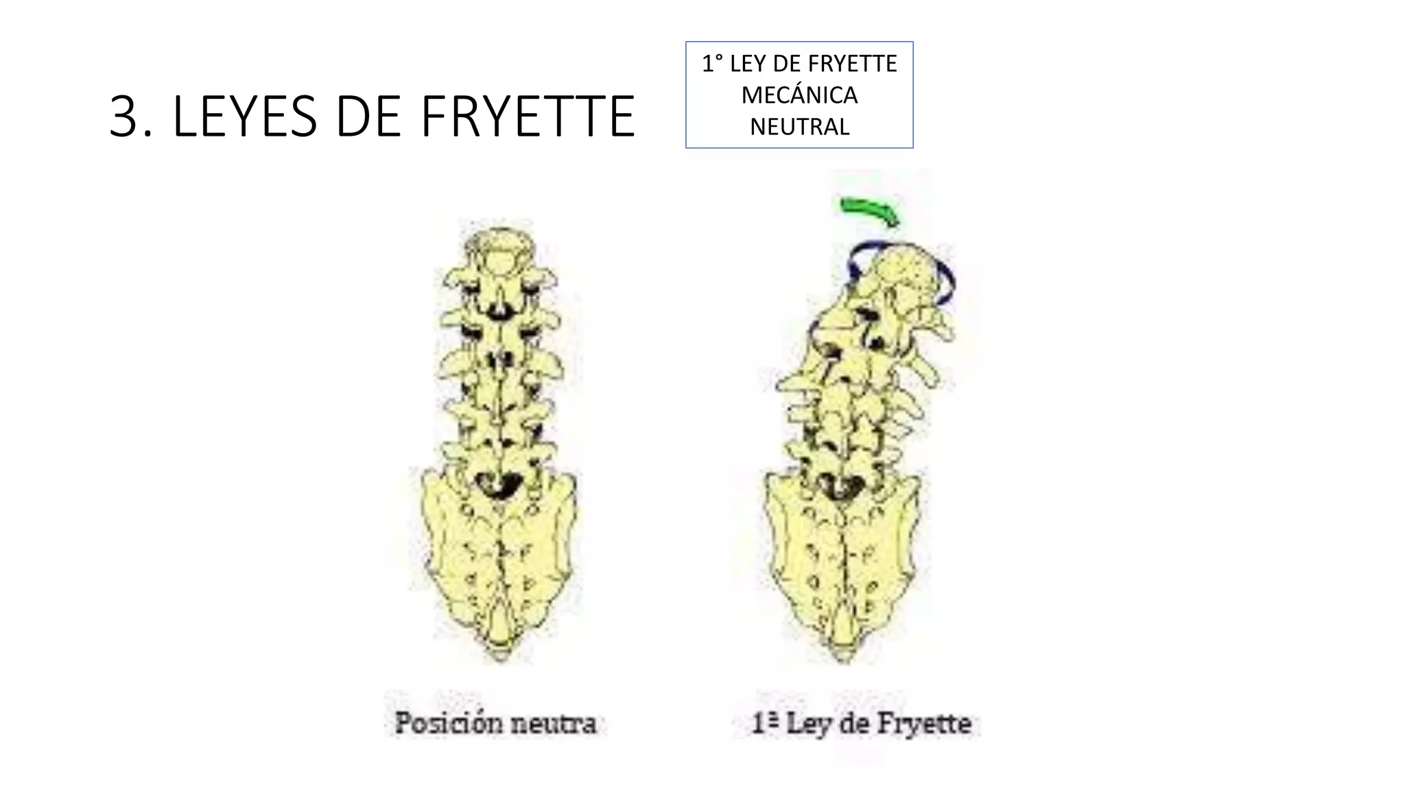 LEYES DE FRYETTE GRABACIÓN.pptx