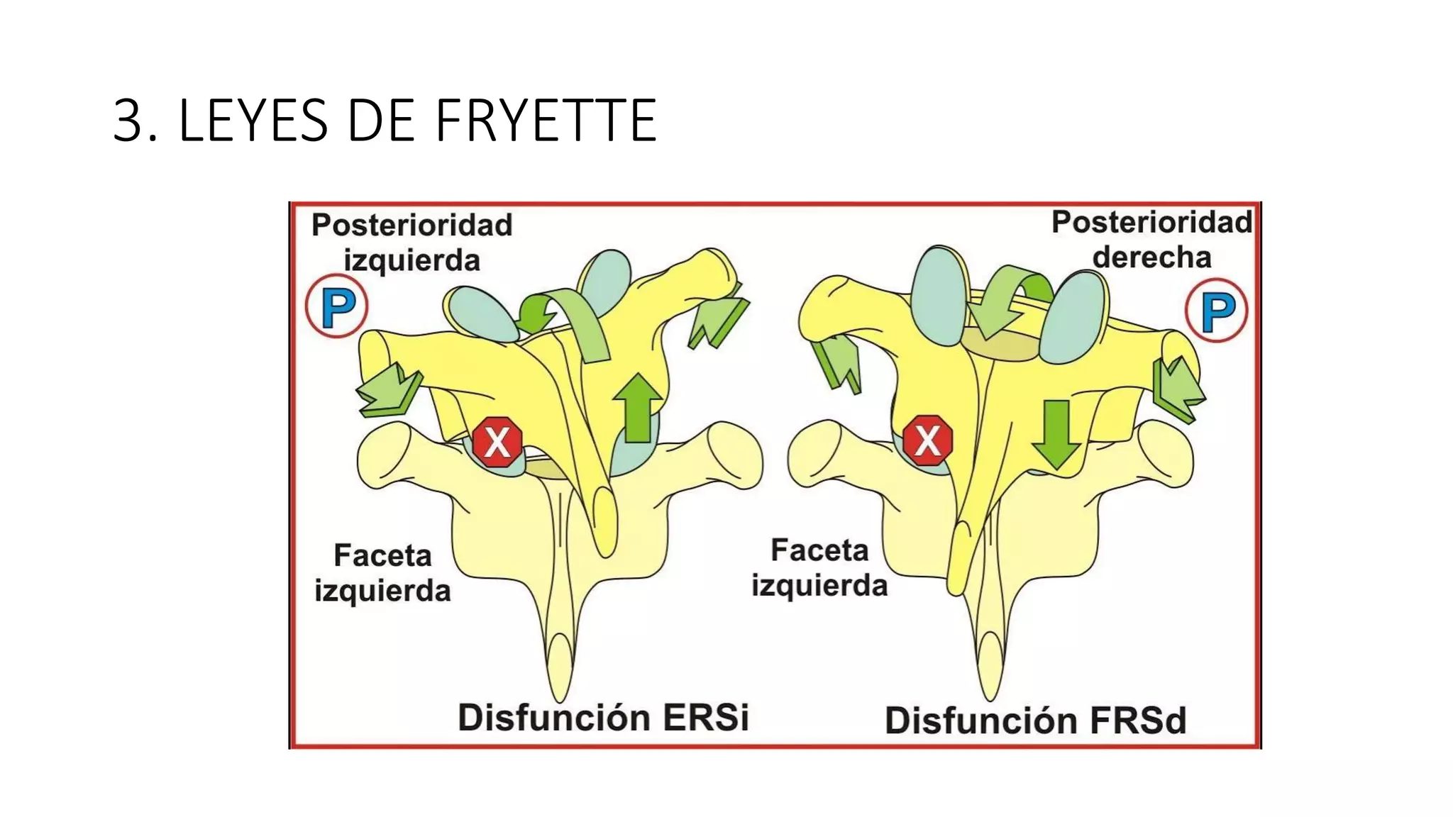 LEYES DE FRYETTE GRABACIÓN.pptx