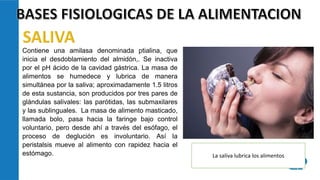 LEYES DE LA ALIMENTACION Y FUNCIONES DE LA NUTRICION | PPTX