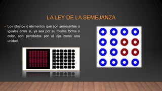 LEYES DE LA GESTALT | PPTX | Eye and Vision Conditions | Diseases and Conditions