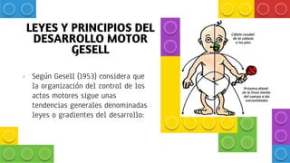 LEYES DEL DESARROLLO MOTOR para niños y bebes | PDF