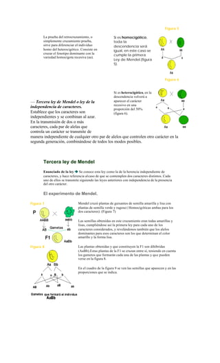 biologia | PDF