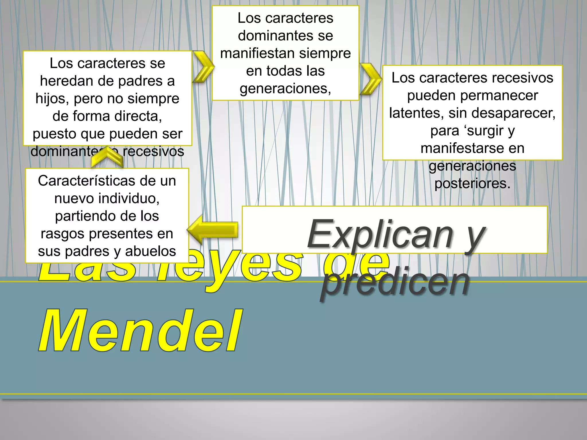 Leyes de mendel | PPT
