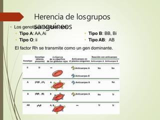Leyes de mendel | PPTX