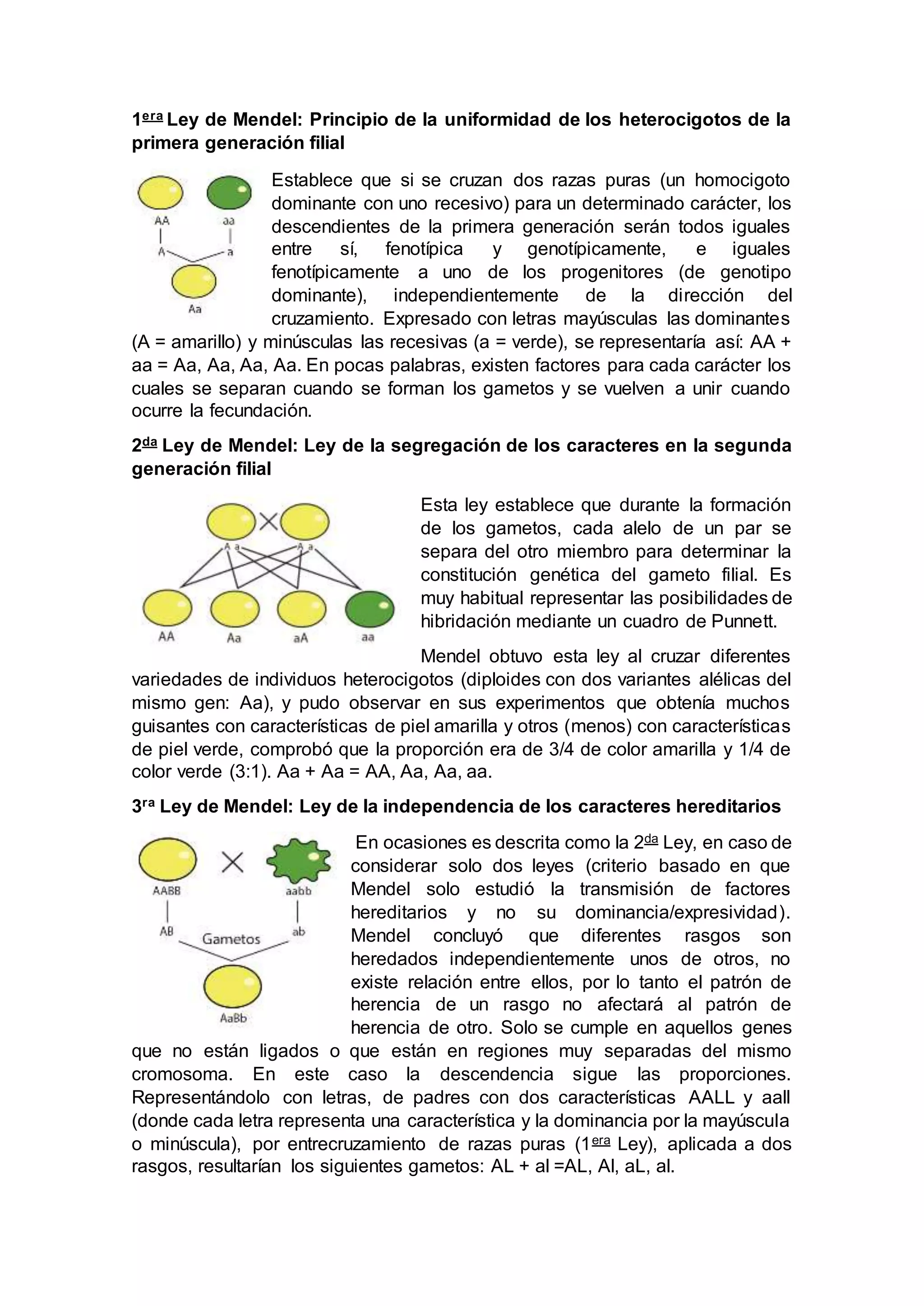 Leyes de mendel | DOCX | Genetics | Science