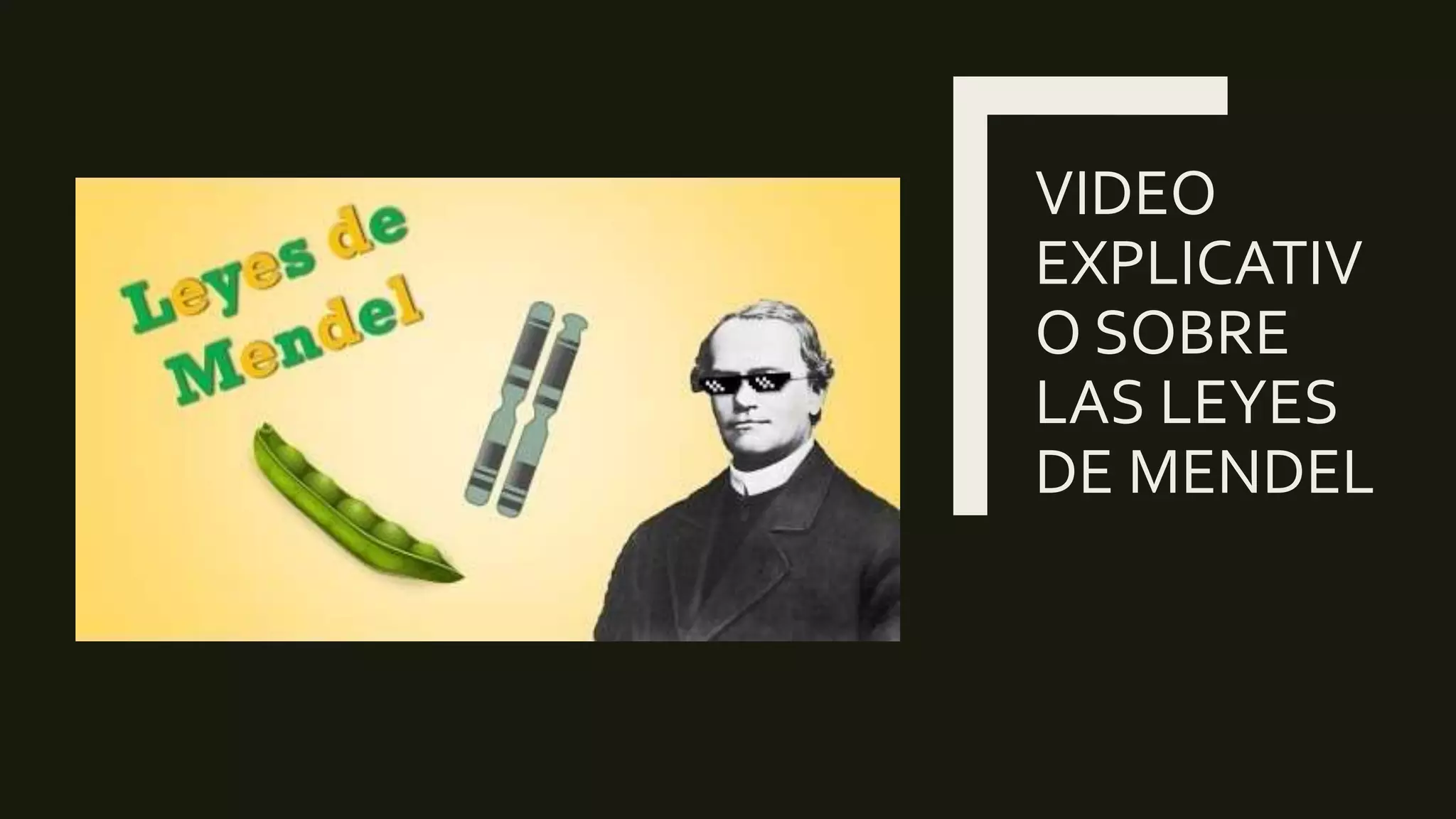 Leyes de Mendel | PPTX | Genetics | Science