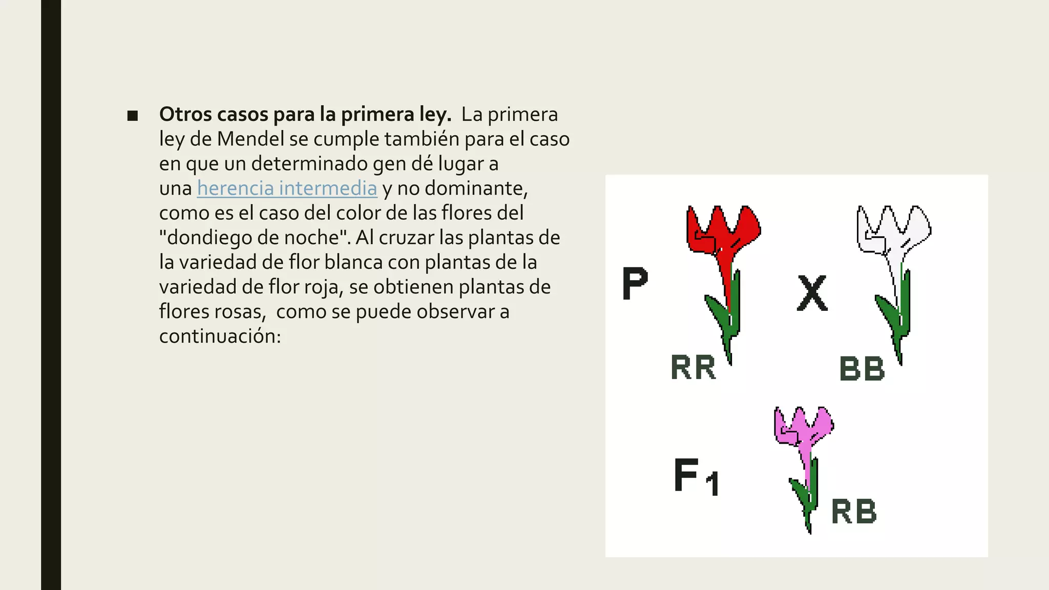 Leyes de Mendel | PPTX | Genetics | Science