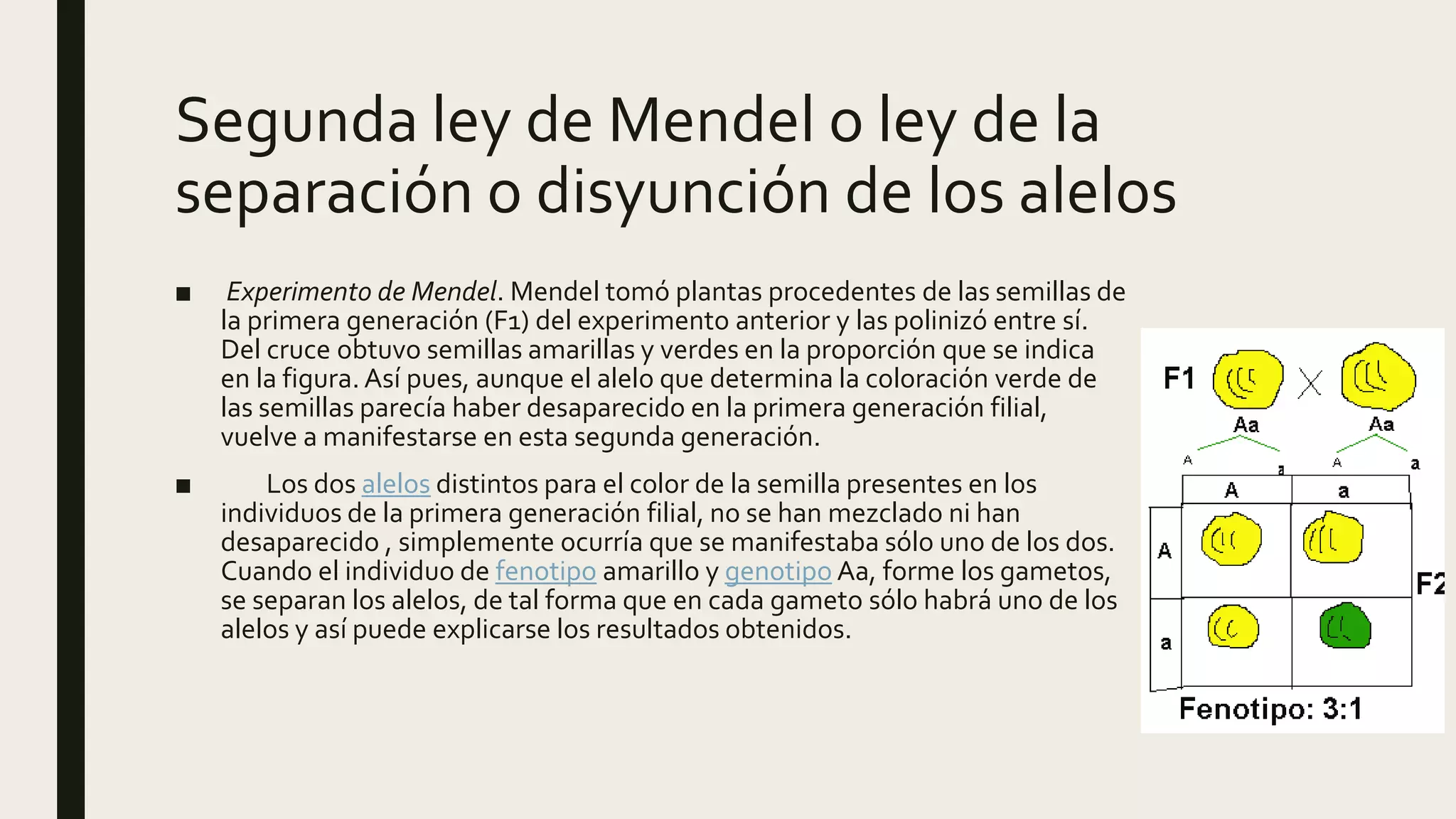Leyes de Mendel | PPTX | Genetics | Science
