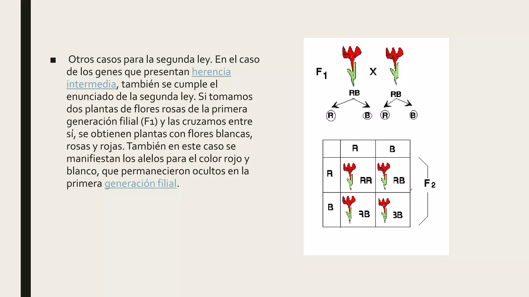 Leyes de Mendel | PPTX | Genetics | Science
