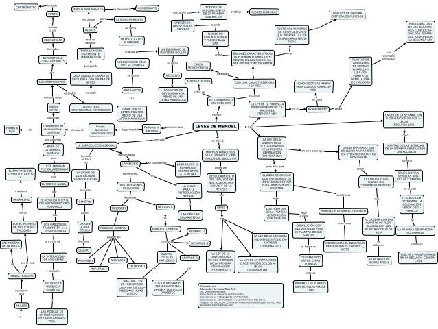 Mapa Mental Leyes de mendel genética Mapa Mental Leyes de mendel genética