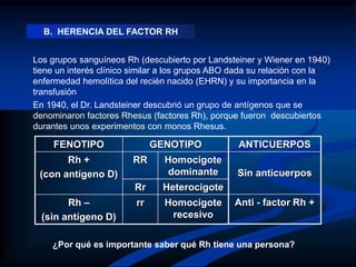 Leyes de Gregor Mendel | PPT