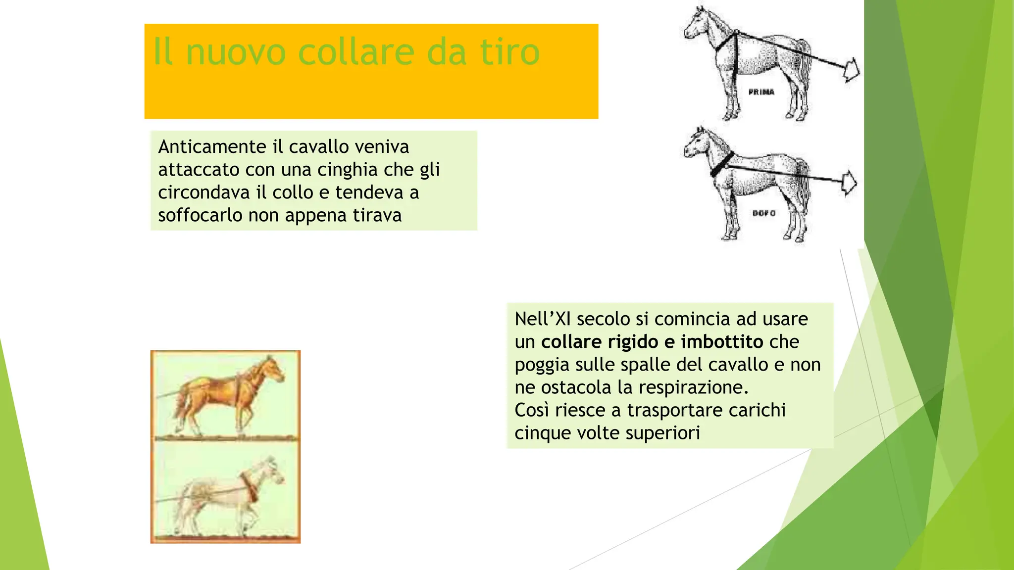 Lezione Basso Medioevo Italiano Scuola primaria | PPTX
