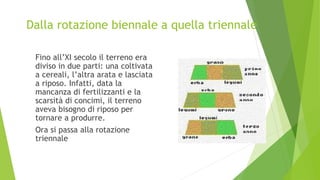 Lezione Basso Medioevo Italiano Scuola primaria | PPTX
