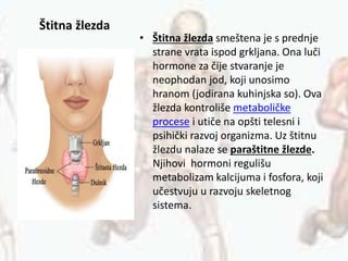 Žlezde sa unutrašnjim lučenjem | PPTX