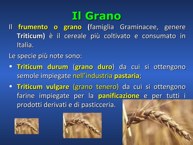 L'avventura del grano | PPT | Gardening | Home & Garden