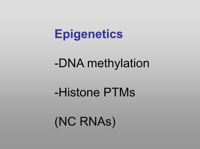 Lezione 17- Epigenetics.ppt