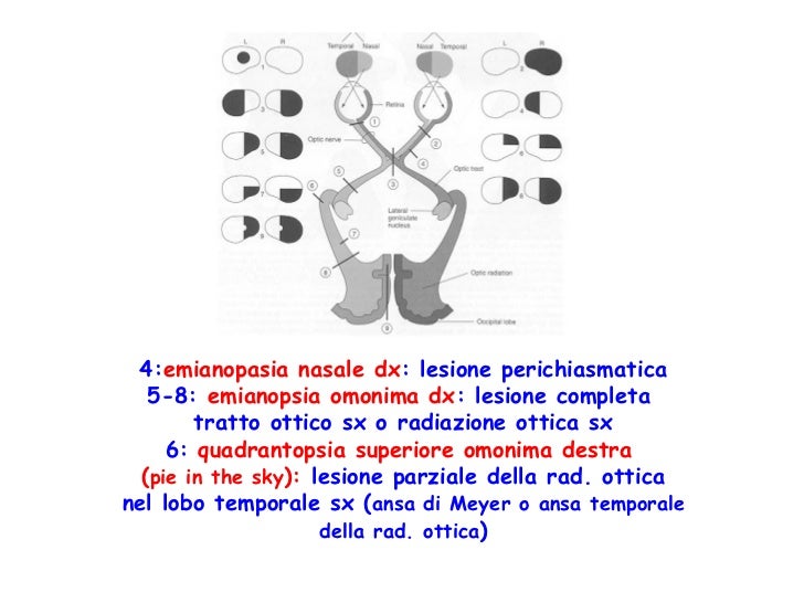Lezione 2 (1)