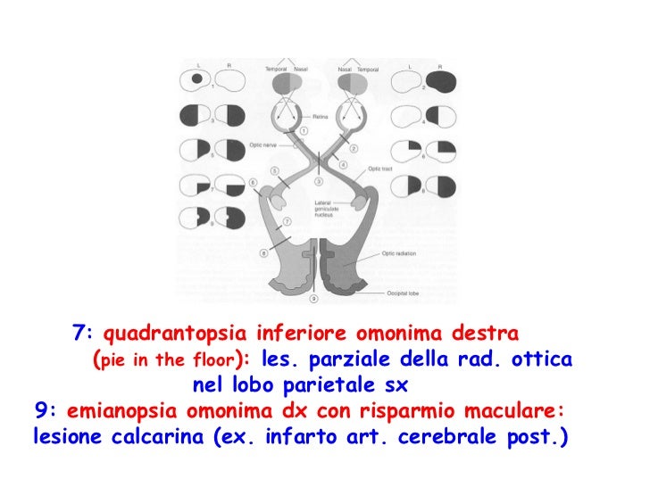 Lezione 2 (1)