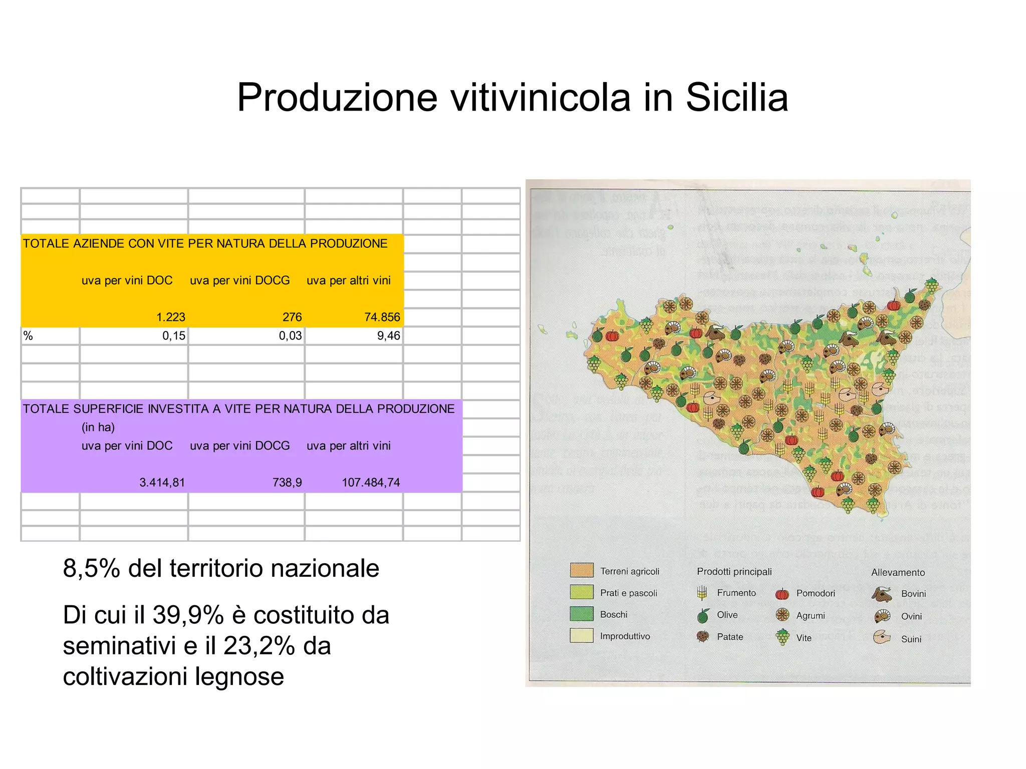 Lezione 3 Produzione Vitivinicola Parte Iii | PPT | Food & Drink