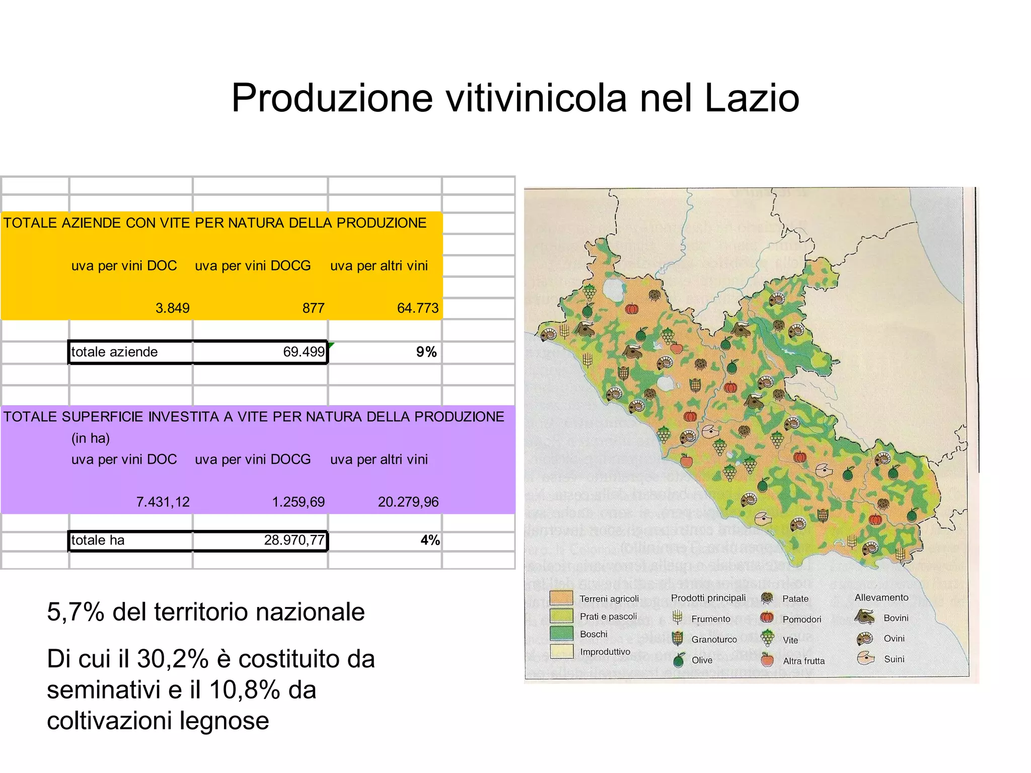 Lezione 3 Produzione Vitivinicola Parte Iii | PPT | Food & Drink