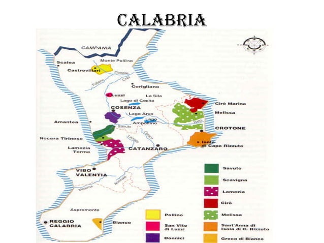 Lezione 3 Produzione Vitivinicola Parte Iii | PPT | Food & Drink