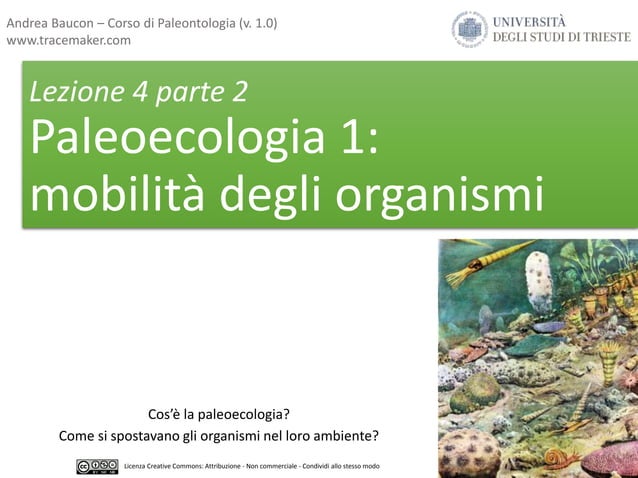 Paleoecologia 1: mobilità degli organismi | PPTX