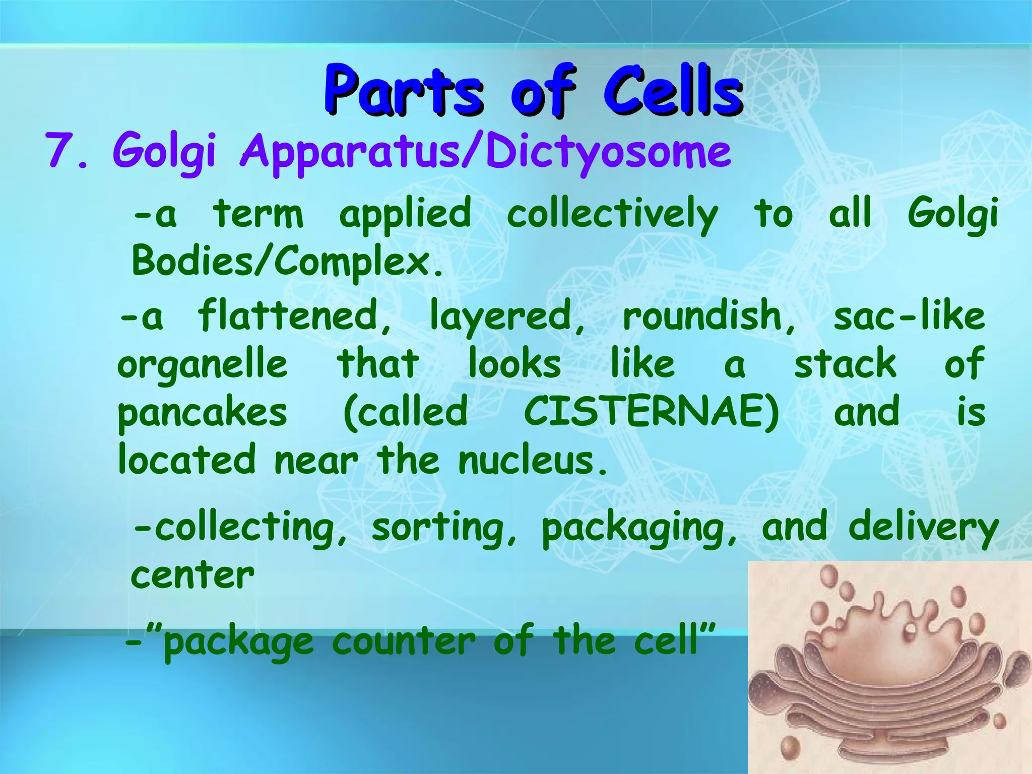 Cell structures, cell theory, biological diversity | PPT