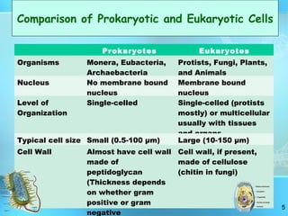 Cell structures, cell theory, biological diversity | PPT