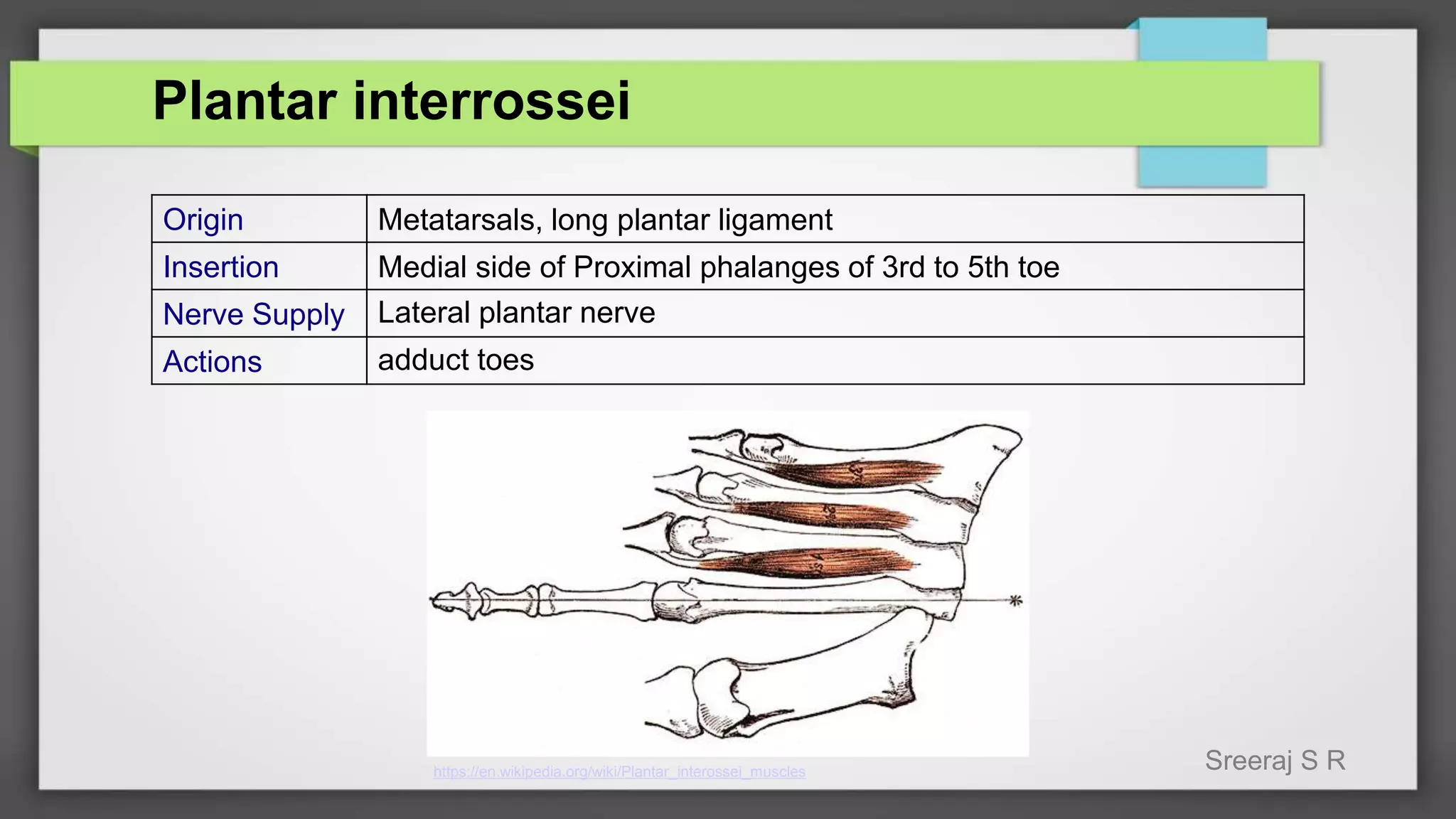 Faradic Foot Bath, Faradism Under Pressure, Faradism Under Tension ...