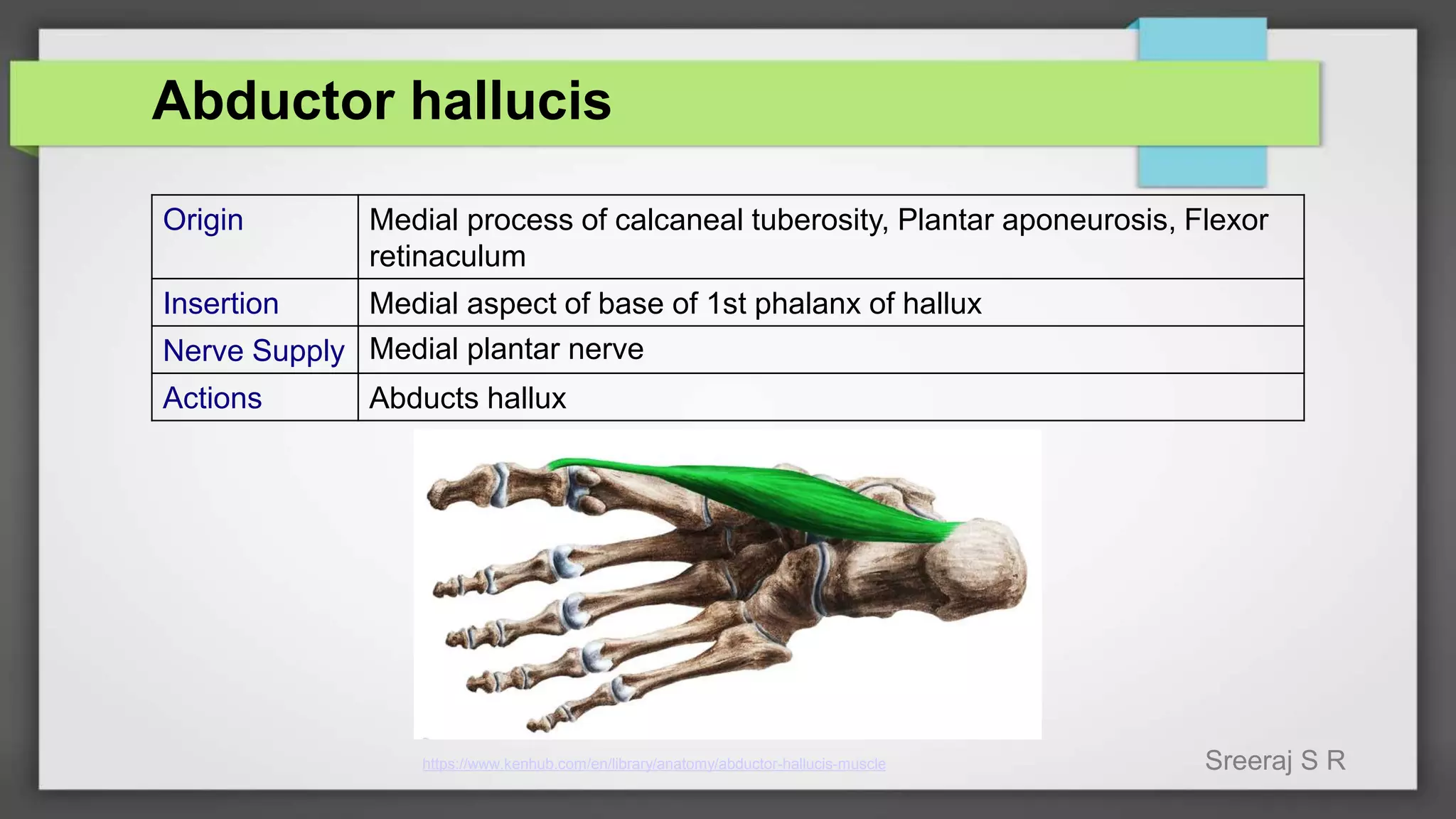 Faradic Foot Bath, Faradism Under Pressure, Faradism Under Tension ...