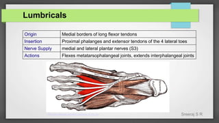 Faradic Foot Bath, Faradism Under Pressure, Faradism Under Tension ...