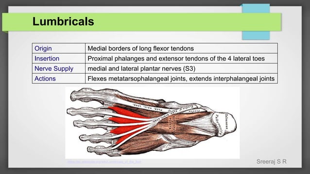 Faradic Foot Bath, Faradism Under Pressure, Faradism Under Tension ...