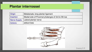 Faradic Foot Bath, Faradism Under Pressure, Faradism Under Tension ...