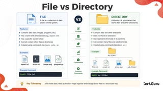 Advanced Linux File Management - LFCS (Essential Commands) | PDF